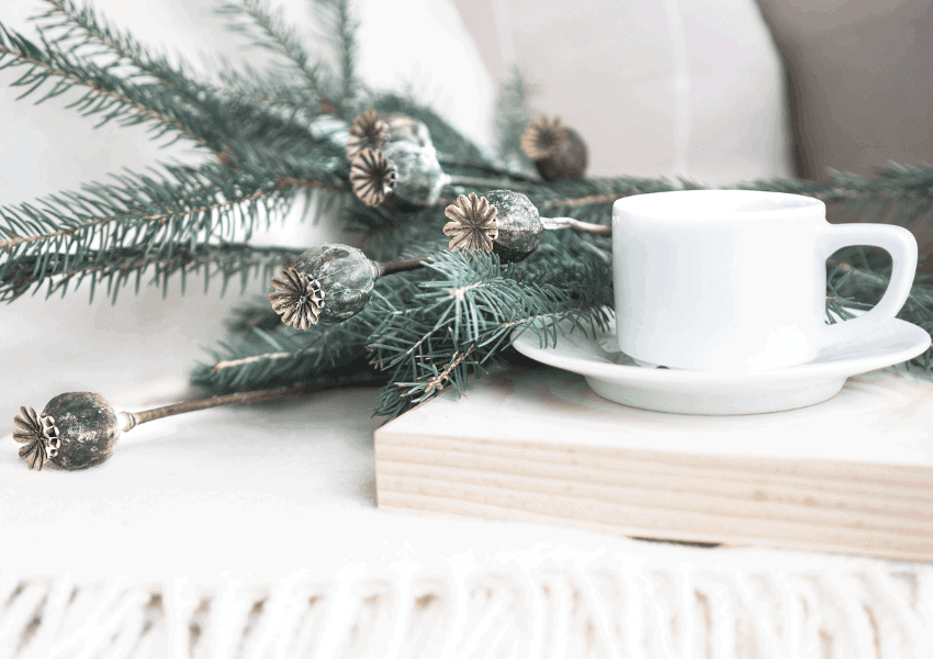 The Privilege of Celebrating a Humble Christmas - Milk and Honey Faith